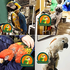 Bonaweite Pet Parrot Anti-bite Collar, Anti-Grab Feather Lick Wound Healing Safety Practical Neck Cover, Protective Recovery Collars for Macaw African Budgies Parakeet Agapornis Fischeri Cockatiel