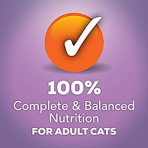 Purina Friskies Gravy Pate Wet Cat Food, Extra Gravy Pate With Turkey in Savory Gravy - (24) 5.5 oz. Cans