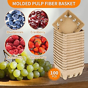 Tobeelec 100 Pcs Pulp Fiber Berry Basket, Products Berry Baskets, Molded Pulp Fiber Vented Produce Basket for Packaging Fruits and Veggies, Small Farmer Market Produce Basket Containers