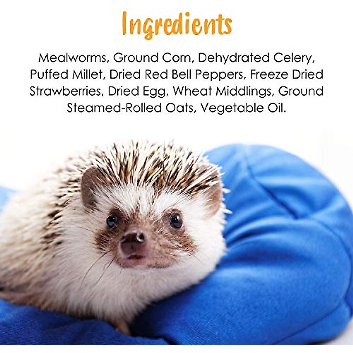 Sun Seed 36035 Vita Prima Hedgehog Treat - Wigglers & Berries Trail Mix, 2.5oz