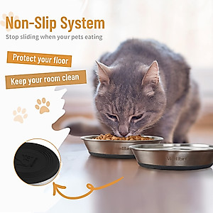 Wellbro Cat Bowls, 2 Pcs Stainless Steel Cat Bowls for Food and Water, Whisker Fatigue Shallow Non-Slip Cat Dishes Plates for Small Dog Puppies Cats