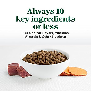 NUTRO Limited Ingredient Diet Adult Dry Dog Food Lamb & Sweet Potato Dog Kibble, 4 lb. Bag