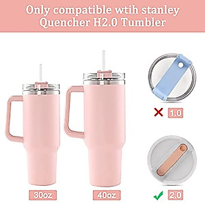 Dasgude Spill Proof Stopper Set for Stanley 40 oz Tumbler with Handle 30 oz, Straw Cover Cap Compatible with Quencher H2.0 Stanley Cup, Silicone Straw Topper for Stanley Cup Accessories, 6 PCS