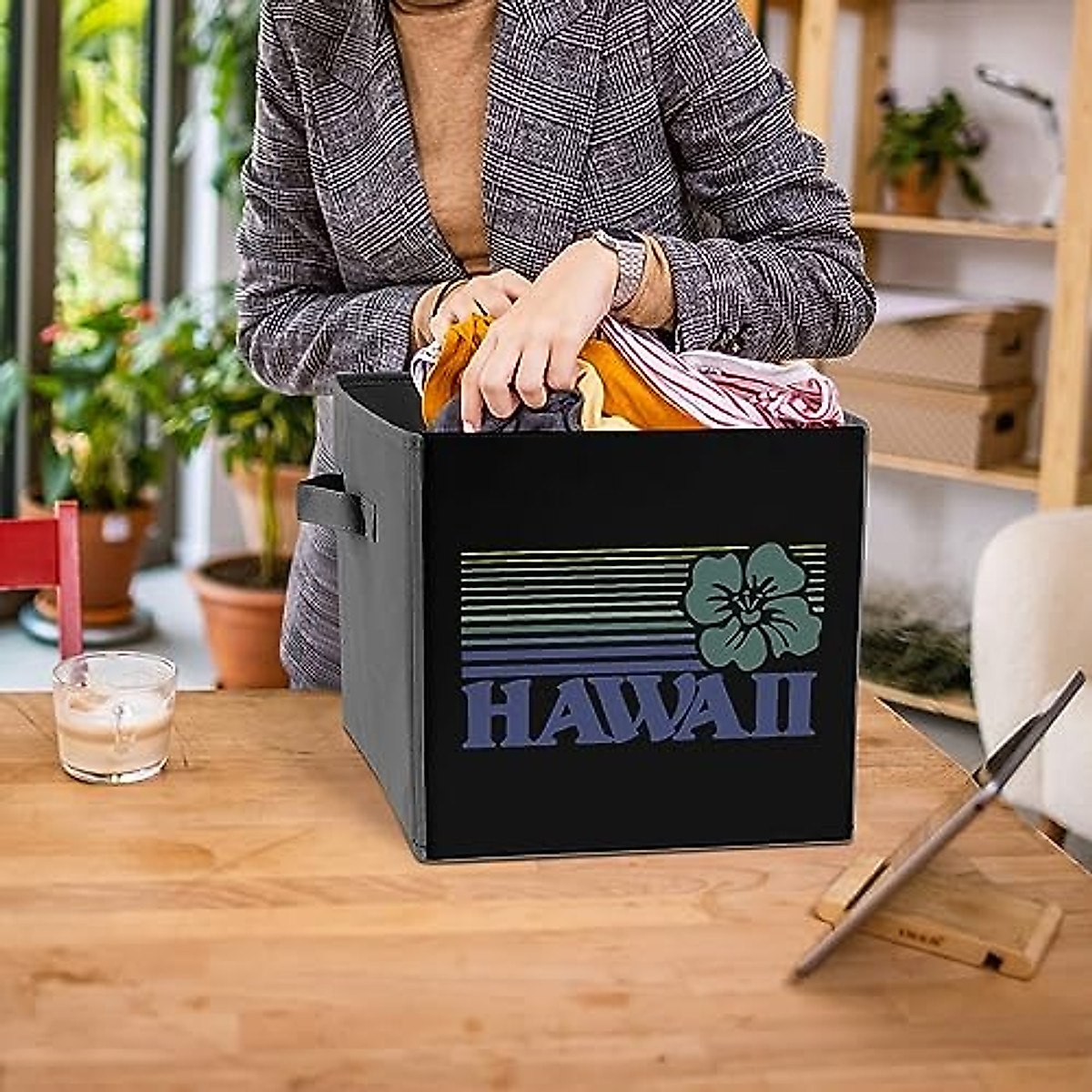 Hawaii Storage Bins with Handles Cube Closet Organizers and Storage Boxes Folding Basket for Shelves 2PCS