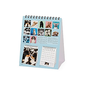 Legami - Table Calendar 2024, 12 Months and Annual Planner 2025, Space for Notes and Notes, Number of the Week, Zodiac Signs and International Holidays, Single Cellophaning, 12x14.5 cm