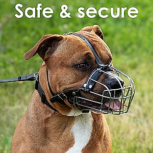 BRONZEDOG Pitbull Dog Muzzle Metal Mask Amstaff Wire Basket Pit Bull Adjustable Leather Straps for Large Dogs (Steel)