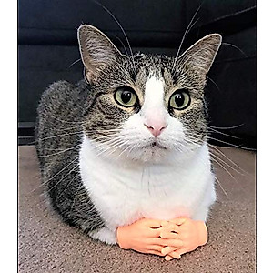 Finger Hands - 10 Pack – Premium Rubber Little Tiny Finger Hands – Fun and Realistic Design – Ideal for Puppet Show, Gag Present, Fun for All Kids!