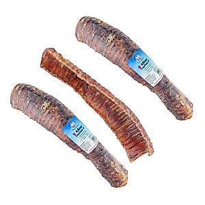 Natural Cravings: Bison Trachea 3 Pack - 12"-13" - Dog Half Trachea Chew Treat, Lg-XL Dogs, Power Chewers, Slow Roasted Single Ingredient, USA Made