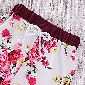 Camidy 1-5T Baby Girls Toddler Floral Hoodies Hooded Tops + Pants + Headband 3Pcs Outfits Clothes Set Purplish Red