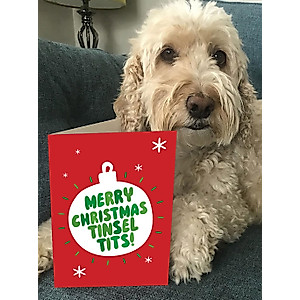 Brainbox Candy - Funny Christmas Card - 'Tinsel Tits' - Cheeky Xmas Cards - Festive Seasonal Humour Cards - For Him Her Men Women Friends Family - Merry Christmas