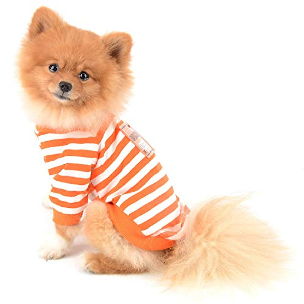 Zunea Dog Shirts for Small Dogs Girl Boy Summer Puppy Vest Clothes Soft Cotton Striped Sun Protection Tee Shirt Short Sleeve Pet Dog Chihuahua Apparel Cat Clothing Orange XL