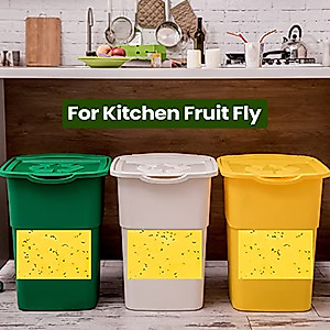 300 Sheets Fruit Fly Trap Yellow Sticky Gnat Traps Double Sided Gnat Traps Fruit Fly Killer with 300 Pcs Twist Ties 100 Pcs Wooden Sticks for House Indoor Outdoor Plants