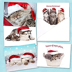 Christmas Cats Holiday Card Assortment Pack / 25 Seasonal Kitten Greeting Cards And Envelopes / 5 Sleeping Santa Animal Designs And Christmas Messages