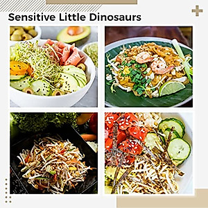 Homaisson 4 Packs Sprouting Jar Lids Sprouting Stand, Stainless Steel Mason Sprouting Jar Lids with 4 Jar Stands, 3.39inch Breathable Wide-Mouth Sprouting Jar Lids for 3.39inch Mason Jars, Grow Bean Sprouts, Broccoli Seeds, Alfalfa,