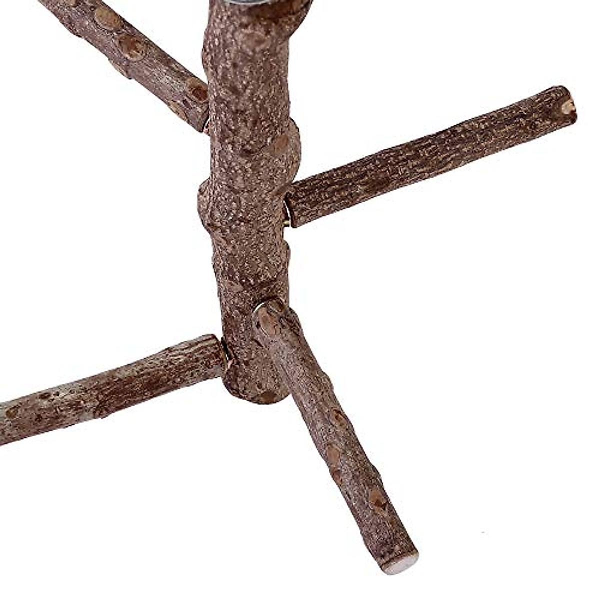 Mogoko Natural Wood Bird Perch Stand, Hanging Multi Branch Perch for Parrots, Parakeets Cockatiels, Conures, Macaws, Love Birds, Finches