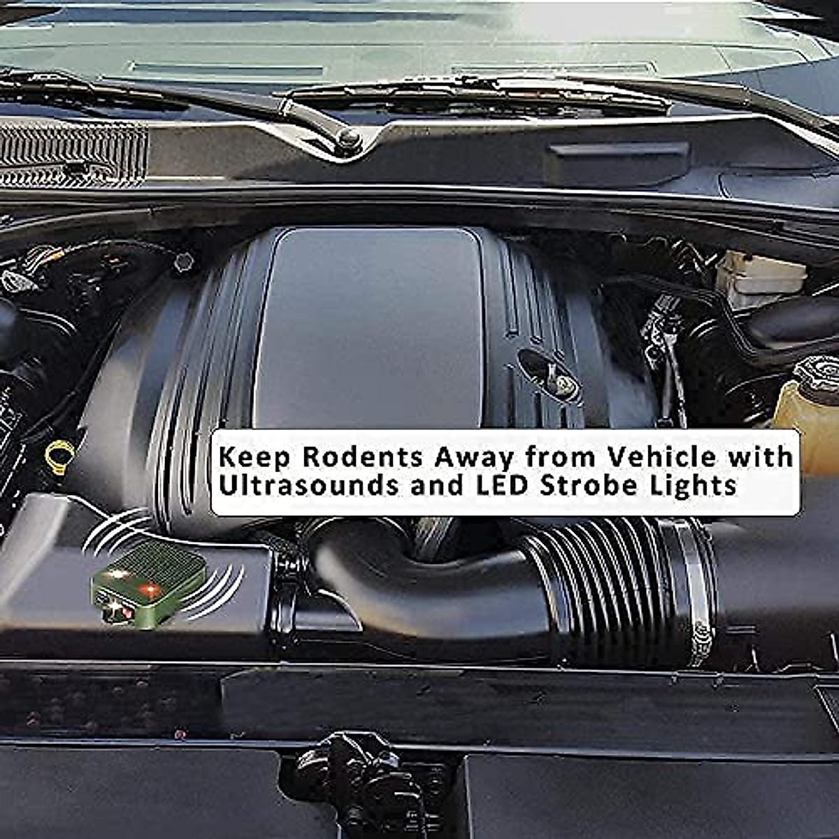 Glaobule Under Hood Animal Repeller Battery Operated Ultrasonic Rodent Repellent for Cars Indoor That Uses 2 C Batteries Bundle with Uses 3 AA Batteries