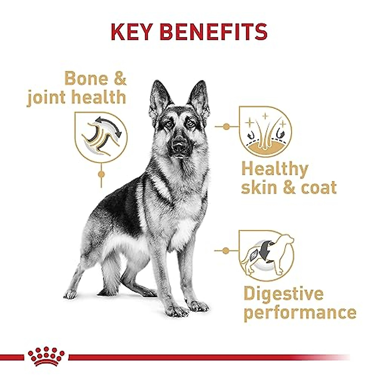 Royal Canin German Shepherd Adult Dry Dog Food, 17 lb bag