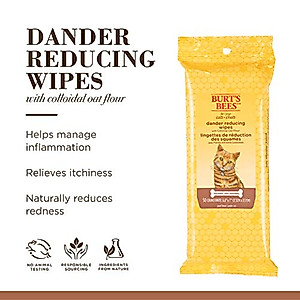 Burt's Bees for Cats Natural Dander Reducing Wipes | Kitten and Cat Wipes for Grooming | Cruelty Free, Sulfate & Paraben Free, pH Balanced for Cats - Made in USA - 2 Pack