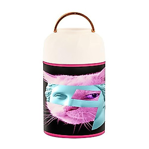 CUPADA Sculpture Cat Cool Food Jar, Art Design Insulated Hot Food Jars Vacuum 17OZ with Folding Spoon for Work Trip Picnic Camping