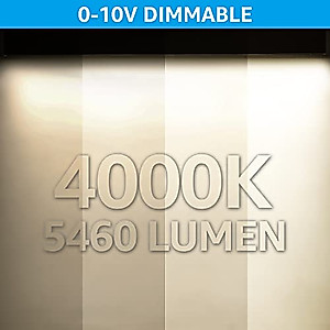 LEONLITE 4FT LED Linear Light Linkable, Anti Glare Office Lighting, 5460lm 0-10V Dimmable Architectural Suspended Lighting Fixture, 100-277V UL Listed, 42W 4000K Cool White, White, Pack of 2