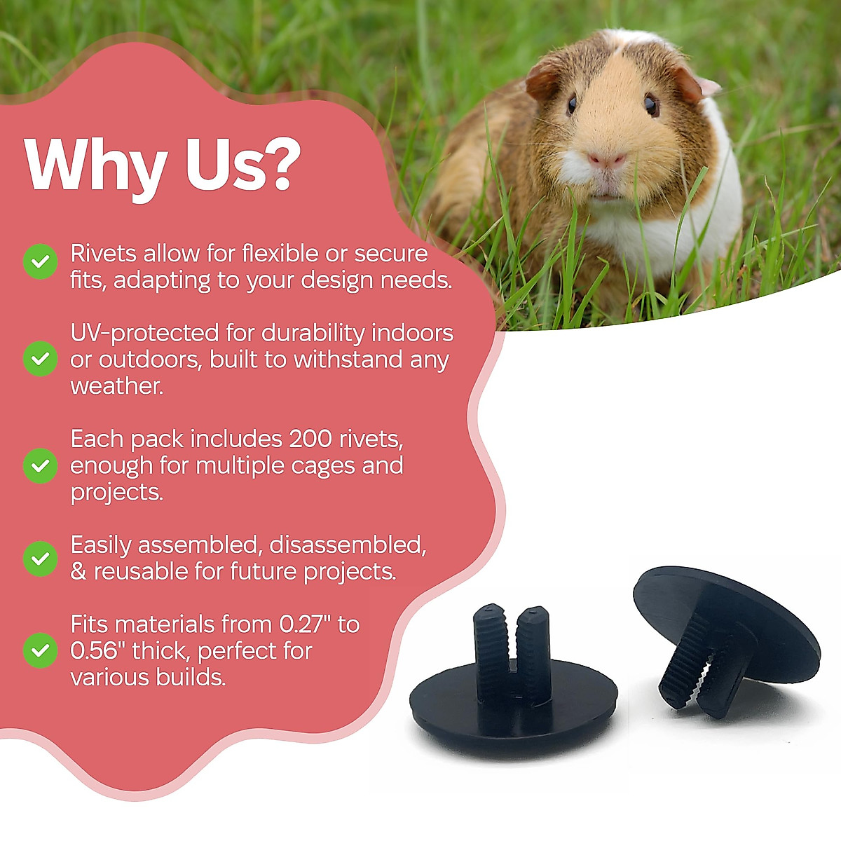 Plastic Ratchet Rivets - .73 in x .41 in (18.7 mm x 10.5 mm) - Construct Coroplast Guinea Pig or Hedgehog Habitats use for C&C Cages (Pack of 200) by Snout and Shell