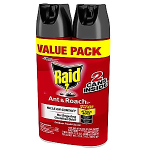 Raid 649023 Ant & Roach Killer, Red