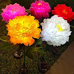 Aolyty Solar Flower Garden Lights, Single Head Solar Peony Light, Outdoor Decoration Solar Stake Lights, 2 Pack IP65 Waterproof LED Landscape Light for Pathway Walkway Patio Lawn Garden (Purple)