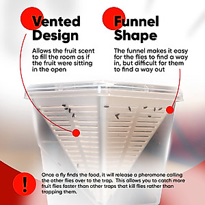 The Ultimate Fruit Fly Trap (Pack of 2) - Indoor Kitchen Non-Toxic Reusable Traps Catches or Kills Fruit Flies with Natural Bait or Lure