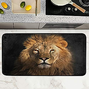 CaTaKu Animal Lion Area Rug 39x20 Inches Polyester , Scary Lion Area Rug Floor Rug Runner Washable Carpet Mat for Kitchen Dinning Room Home Decorative
