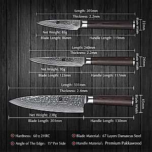 XINZUO 5-Piece Damascus Steel Kitchen Knife Set, Chef Santoku Nakiri Slicing Utility Knife Hammered Forging Damascus Kitchen Knife Professional Chef's Knife with Pakkawood Handle - He Series