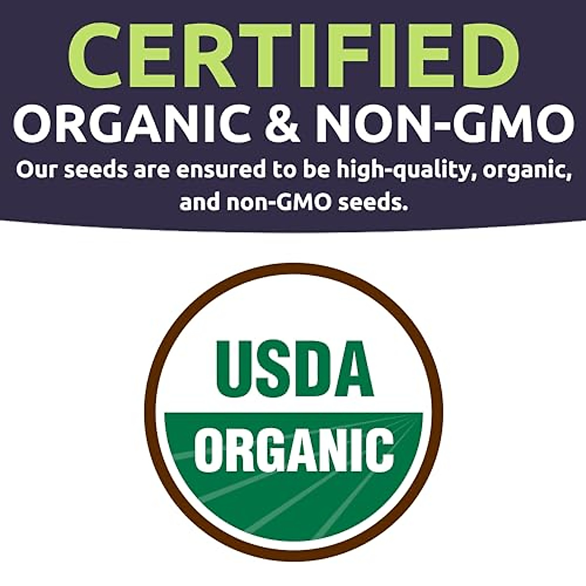 Hot Weather Lettuce and Greens Vegetable Seeds Organic Variety Pack - Non-GMO USDA Certified Organic Open Pollinated Heirloom USA Seed Packets