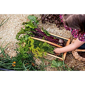 Healthistraw GardenStraw Mini, for Garden Insulation, Mulch, Potting Medium, Animal Bedding, Grass Seed Growing, Organic.5 CF Brown HSTGARDENSTRAWMORG 0