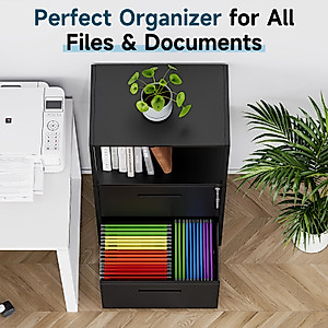 MIIIKO Office File Cabinet with 2 Drawers and Shelf, Metal Vertical Filing Cabinet with Lock, Lateral Two Drawers for Storage Letter/Legal Size File Folders, Top Shelf for Printer Stand