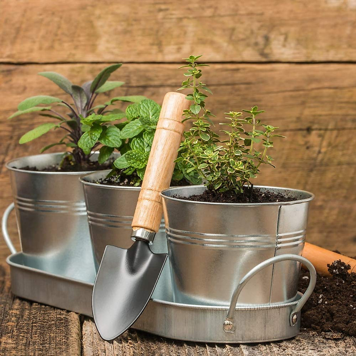 Kicko Large Galvanized Metal Buckets Bulk - 6 Pack - with Handle 5 X 4.5 Inches - Unique Goody Baskets, for Party Favors, Party Accessories and Christmas Decorations