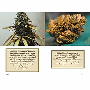 The Little Black Book of Marijuana: The Essential Guide to the World of Cannabis (3rd Edition)
