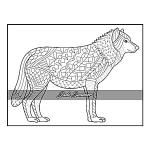100 Animals: An Adult Coloring Book with Lions, Elephants, Owls, Horses, Dogs, Cats, and Many More!