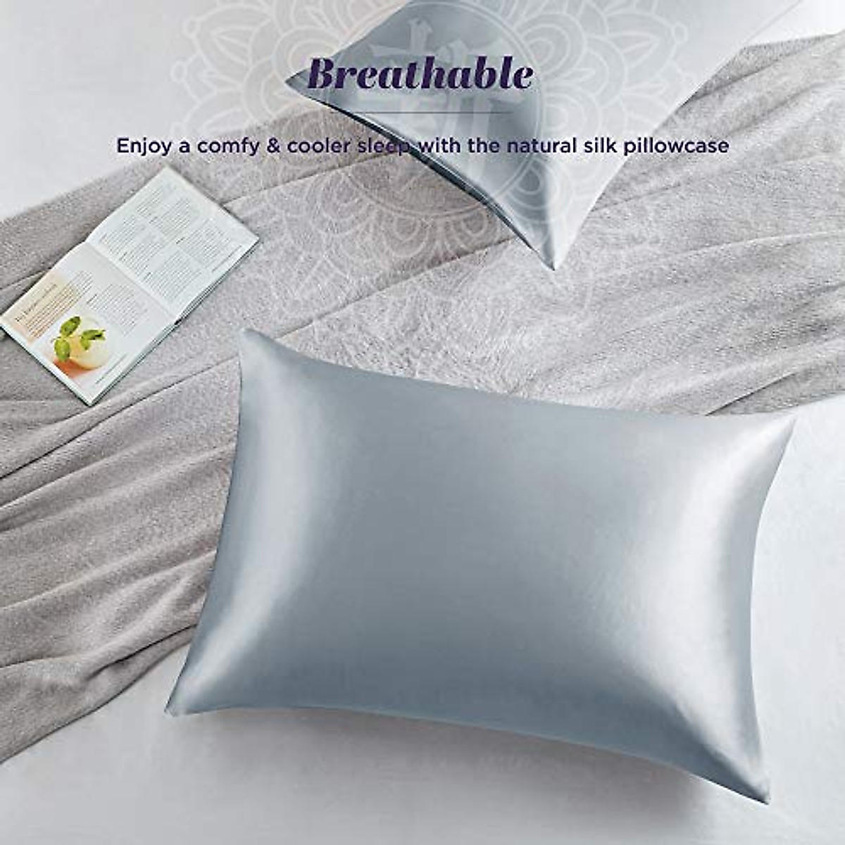 HYDE LANE 16 Momme 100% Pure Mulberry Silk Pillowcase for Hair and Skin with Hidden Zipper, Both Side Grade 6A Silk, Smooth and Soft,Real Silk Pillow Case, 2pcs Queen 20''x30'',Light Blue