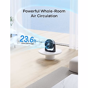 Pelonis 3 Speed Small Room Air Circulator Fan with 7-inch Blade, Table Fan with 100° Adjustable Head Tilt - Desktop Fan for Bedroom,Dorm and Office - Ventilador for Air Conditioner and Heater, Black