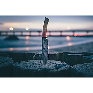 Perkin Hunting Knives 12 Inches Damascus Steel Knife Full Tang Fixed Blade Knife FBE111