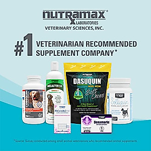 Nutramax Welactin Daily Omega-3 Supplement For Dogs, Skin & Coat Health Plus Overall Health, 60 Soft Chews