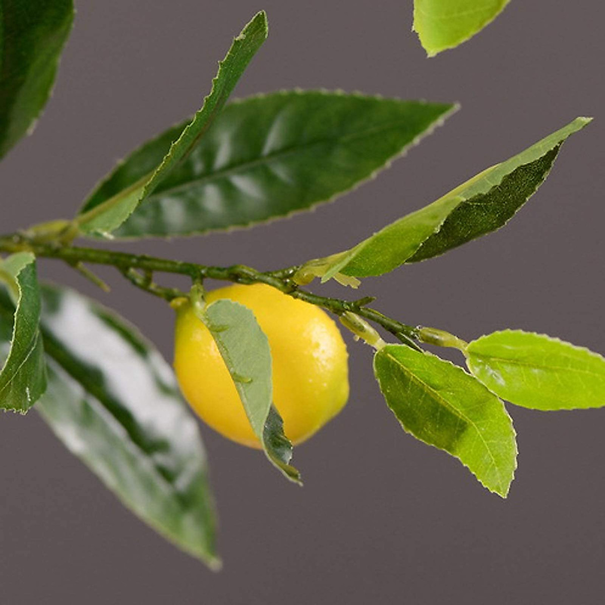 GWOKWAI 3Pcs Artificial Lemon Branch, Fake Lemon Tree Simulation Lemon Branches Artificial Greenery Leaves Branch with Artificial Fruit for Home Wedding Party Garden Decoration Flower Arrangement Art