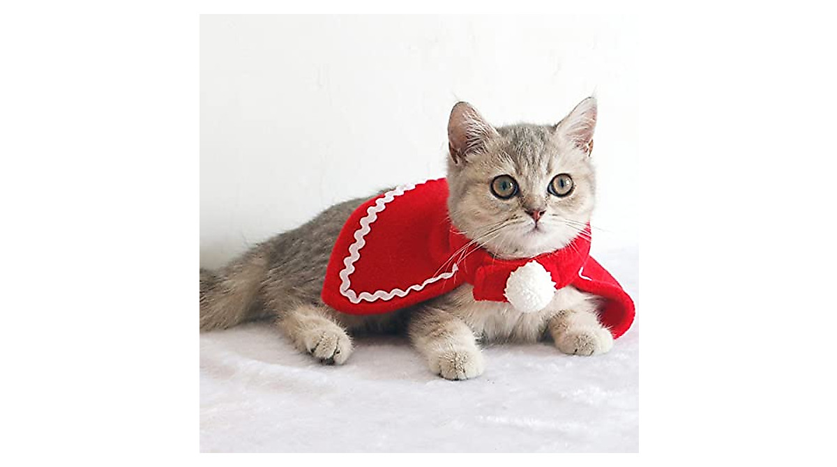 Adorable Cat Christmas Costume Set for Festive Fun
