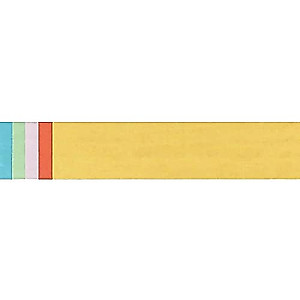 Rainbow Kraft Lightweight Sentence Strips, 5 Assorted Colors, 1-1/2 in x 3/4 in ruled 3" x 24", 100 Strips