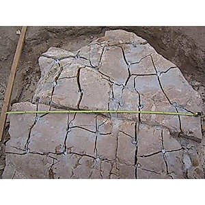 Dexpan Expansive Demolition Grout 11 Lb. Bucket for Rock Breaking, Concrete Cutting, Excavating. Alternative to Demolition Jack Hammer Breaker, Jackhammer, Concrete Saw, Rock Drill (Type 2, 50-77° F)