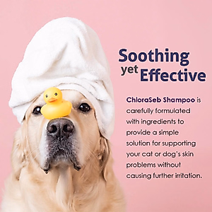 Chloraseb Skin and Coat Care Shampoo for Dogs and Cats - 12 fl oz, Gentle Cleansing Formula for Promoting Healthy Skin and Coat