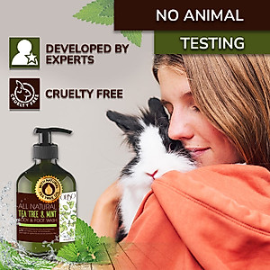 Tea Tree Body Wash with Mint for Women and Men - Helps Acne - Athletes Foot - Jock Itchy - Ringworm - Eczema - Body Odor - Itchy Skin - Moisturizing and Hydrating Sensitive Skin - 16oz