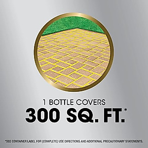 Roundup Dual Action Weed & Grass Killer Plus 4 Month Preventer with Sure Shot Wand, 1 gal.