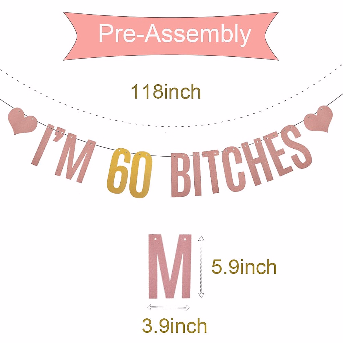 XIAOLUOLY Rose Gold I'M 60 BITCHES Glitter Banner,Pre-Strung,Funny 60th Birthday Party Decorations Bunting Sign Backdrops,I'M 60 BITCHES