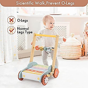 ROBOTIME Wooden Baby Walkers Push Toys for Baby Girls Boys 10 Month +, Adjustable Speed Push and Pull Learning Walker Activity Toys for Toddler 1 2 3 Yrs Old