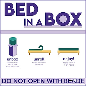 Treaton Pressure Relieving & Cooling High Density Foam Full Mattress - 8-inch Water Proof Vinyl Medium Firm Tight Top Pocketed Coil Rolled Hybrid Mattres with 4” Wood Box Spring, Bed in Box, Green